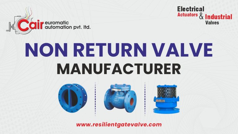 Non Return Valve Types: Features, Uses, and Advantages - RoshanTech